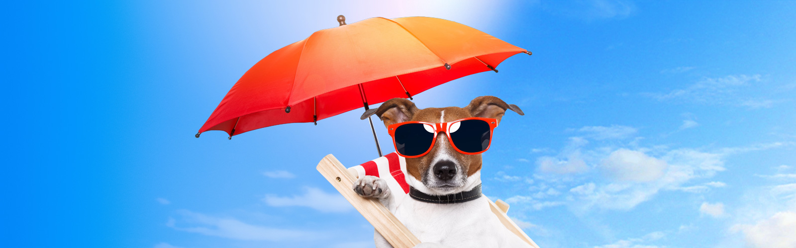 Long Weekends List of Year 2019 | Trip Control Blog
